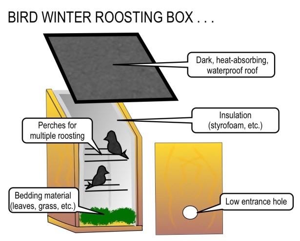 ROOSTING BOXES HELP BIRDS SURVIVE WINTER – TOMOUTDOORS.COM